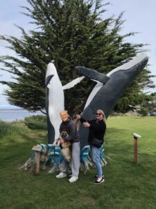 Is Pacific Grove worth a visit?