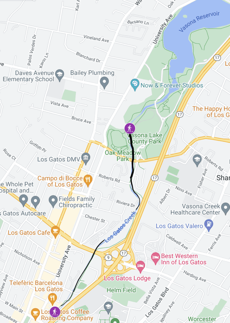 Los Gatos for Solo Female Travelers: Safe, Scenic & Worth It